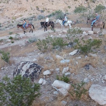 COWBOY TRAIL RIDES - Updated July 2024 - 327 Photos & 162 Reviews ...