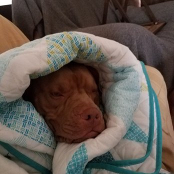 BUDGET BRAKES - Updated September 2025 - 11 Photos & 19 Reviews - 4709 ...