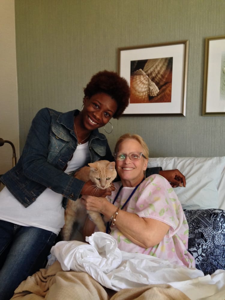 KITTY BITTY CHICAGO - 13 Photos - Chicago, Illinois - Dog Walkers ...