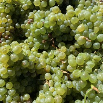 Heritage Oak Winery - 56 Photos & 45 Reviews - Wineries - 10112 E ...