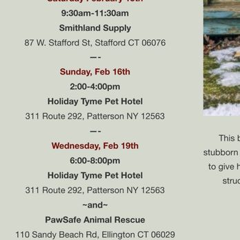 PAWSAFE ANIMAL RESCUE - Updated December 2025 - 18 Photos & 13 Reviews ...