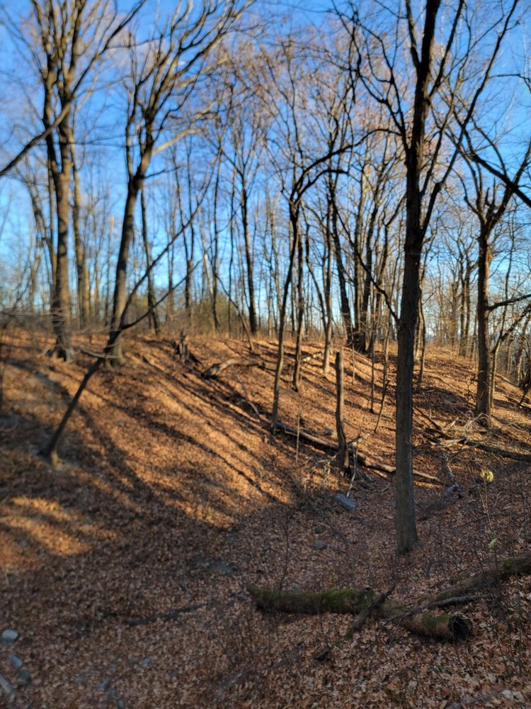 WARNIMONT PARK - Updated September 2025 - 198 Photos & 12 Reviews ...