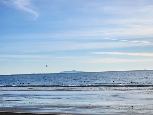 EMMA WOOD STATE BEACH - Updated October 2025 - 268 Photos & 104 Reviews ...