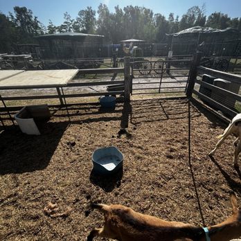 GOOD MOOD RANCH - Updated December 2025 - 148 Photos & 18 Reviews - 306 ...