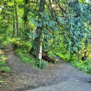 GEORGE ROGERS PARK - 115 Photos & 44 Reviews - Parks - 611 S State St ...