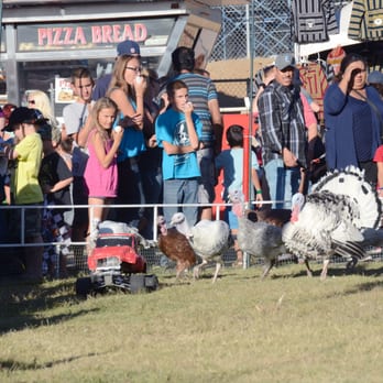 SOUTHERN CALIFORNIA FAIR - Updated October 2025 - 60 Photos & 31 ...