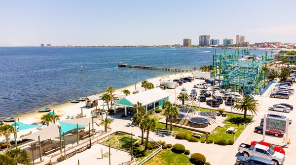 RADICAL RIDES - Updated April 2025 - 73 Photos & 61 Reviews - 444 ...