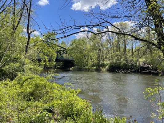 PINCHOT SYCAMORE TREE PARK - Updated June 2024 - 61 Photos - 185 ...
