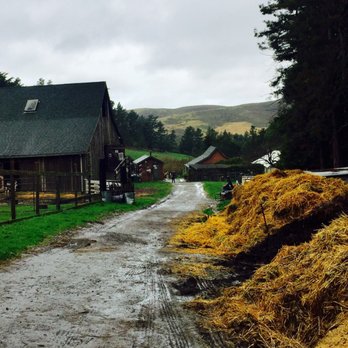 UC ELKUS RANCH ENVIRONMENTAL EDUCATION CENTER - Updated December 2025 ...
