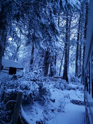 EAGLE TREE RV PARK - 11 Photos & 23 Reviews - Campgrounds - 16280 State ...