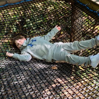 TREEHOUSE WORLD - Updated July 2025 - 118 Photos & 51 Reviews - 1442 ...