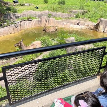 MILWAUKEE COUNTY ZOO - Updated October 2025 - 939 Photos & 297 Reviews ...