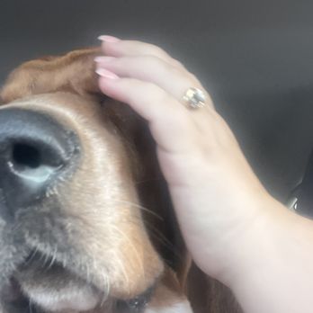 FOUR PAWS ONLY - Updated October 2025 - 47 Photos & 48 Reviews - 2215 E ...