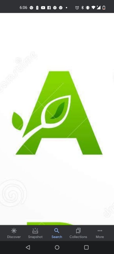 ALL PRO LAWN - Updated November 2024 - 5247 9th St, Zephyrhills ...