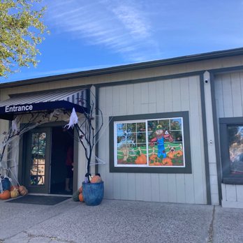 KRISTI’S PET GROOMING - Updated November 2025 - 19 Photos & 59 Reviews ...