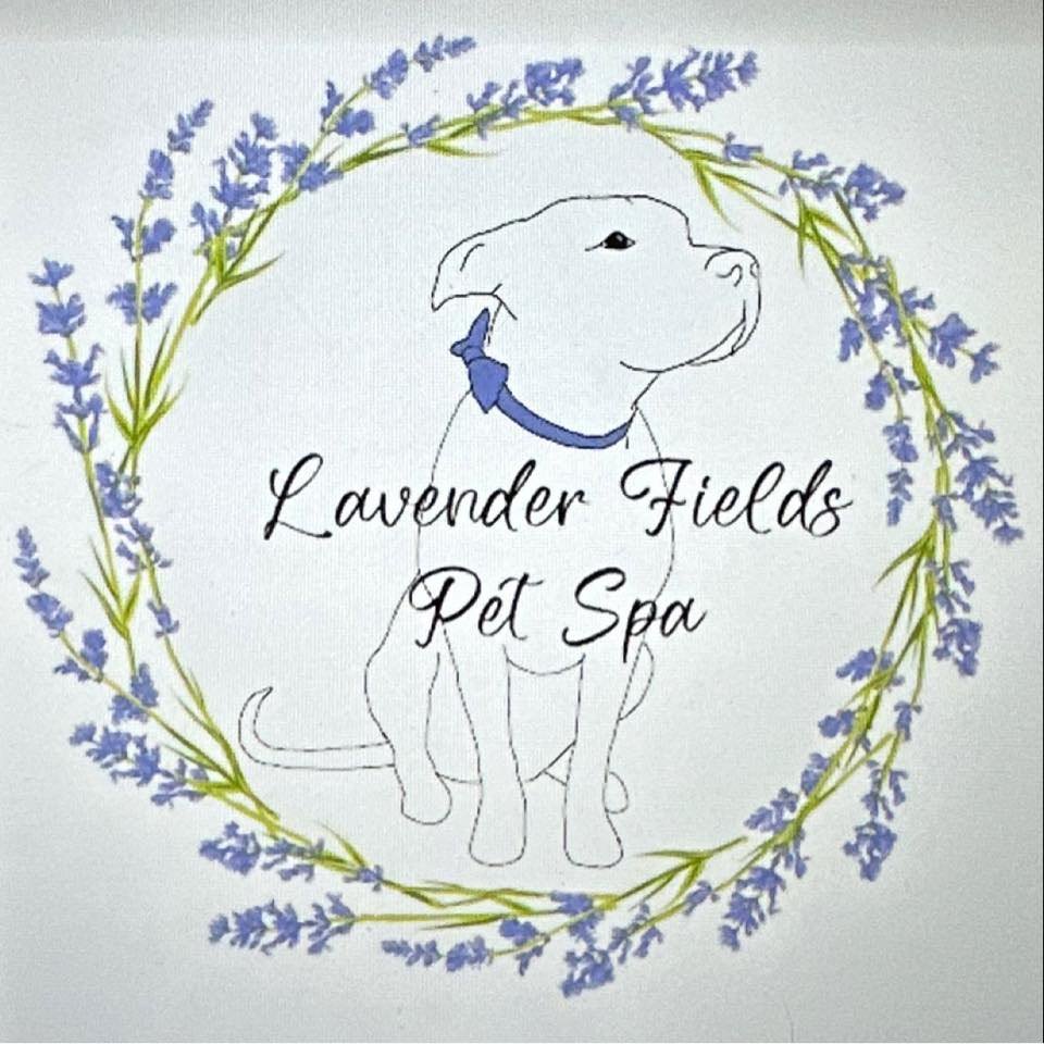 LAVENDER FIELDS PET SPA - Updated April 2026 - 46 Photos - 312 Wilkes ...