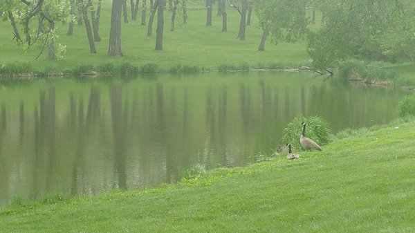 WALNUT GROVE PARK - Updated July 2025 - 15050 Q St, Omaha, Nebraska ...