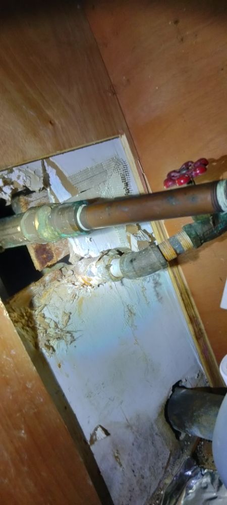 DAVIS PEST BUG & INSECT CONTROL - 1371 Atlantic Ave, Brooklyn, New York ...