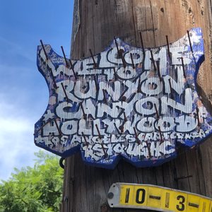 RUNYON CANYON PARK - 3744 Photos & 1821 Reviews - Dog Parks - 2000 N ...