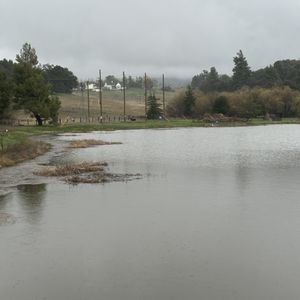 YMCA CAMP MARSTON - Updated October 2025 - 70 Photos & 37 Reviews ...