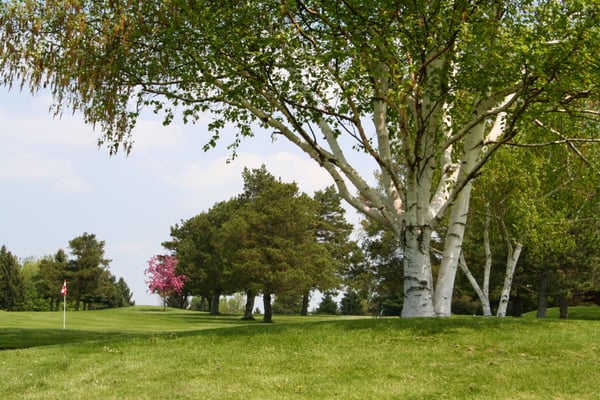 CENTERPOINTE COUNTRY CLUB - Updated August 2025 - 14 Reviews - 2231 ...