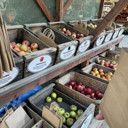 ALDEN LANE NURSERY - Updated December 2025 - 430 Photos & 235 Reviews ...