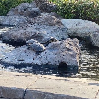 THE COMMONS AT CALABASAS - Updated November 2024 - 391 Photos & 128 ...