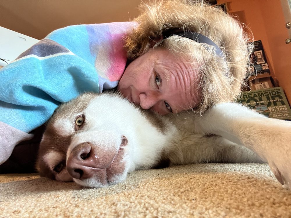 PRITCHARD PETS - Request Information - Glendon, Pennsylvania - Pet ...