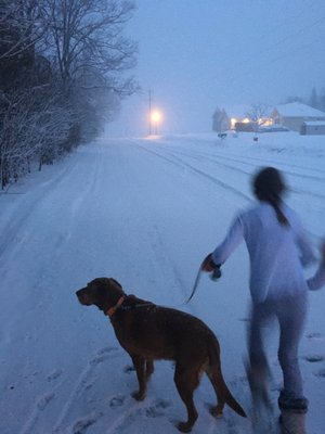 RUFF START RESCUE - Updated August 2024 - 10 Photos & 18 Reviews ...