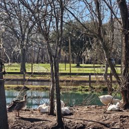 WATER STONE RANCH - Updated July 2025 - 178 Photos & 78 Reviews - 14614 ...