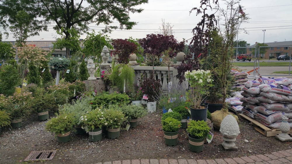 HALL’S NURSERY - Updated April 2026 - 13 Reviews - 24300 Harper Ave ...