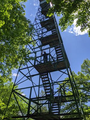 CLARK STATE FOREST - Updated December 2025 - 21 Photos - Henryville ...