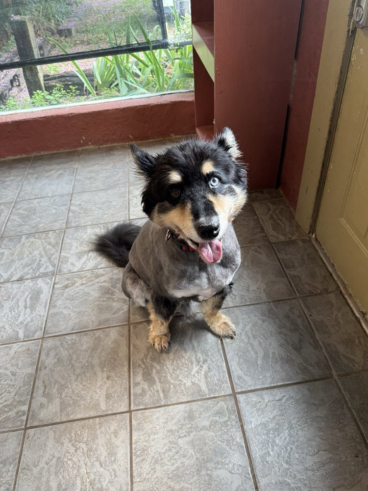 ANIMAL COUNTRY CLUB - Updated October 2025 - 25 Photos - 2759 W Lamar ...