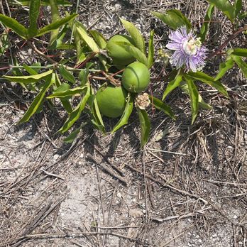 CIRCLE B BAR RESERVE - Updated January 2025 - 581 Photos & 126 Reviews ...