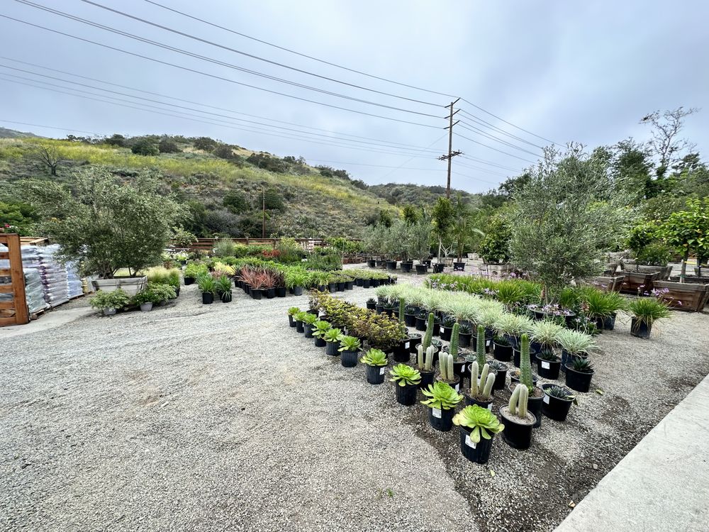 THE STANDARD DESIGN GROUP NURSERIES - TEMP. CLOSED - Updated August ...