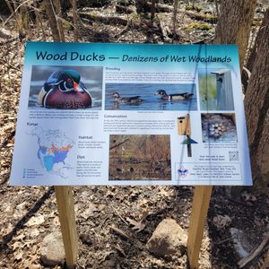 ELEANOR BUCK WOLF NATURE CENTER - Updated June 2024 - 156 Prospect St ...