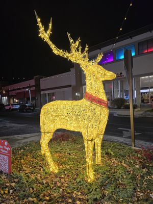THE PROMENADE AT BOLINGBROOK - Updated March 2026 - 68 Photos & 96 ...
