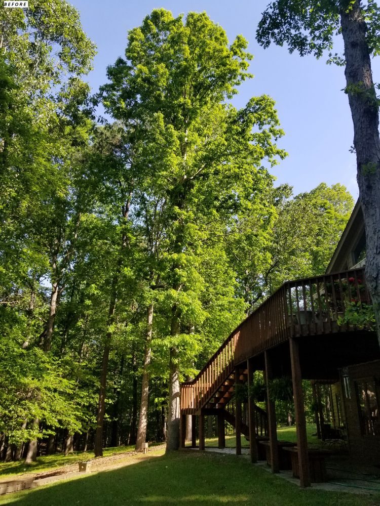 INNOVATION’S TREE SERVICE - Updated August 2025 - 82 Photos - Raleigh ...