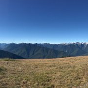 HURRICANE RIDGE - Updated August 2025 - 465 Photos & 105 Reviews - 600 ...