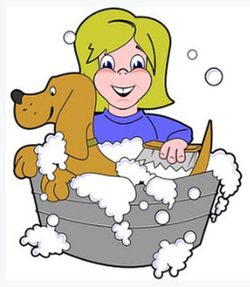 CRITTER CLEANER - Updated August 2025 - 19 Reviews - 12543 N Highway 83 ...