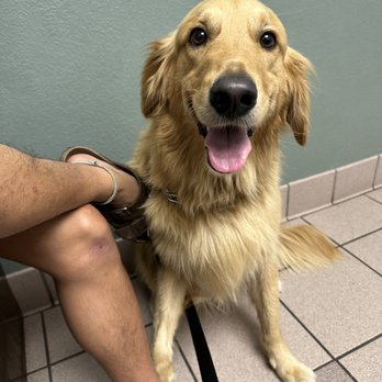 MAIN STREET VETERINARY HOSPITAL - Updated December 2025 - 18 Photos ...