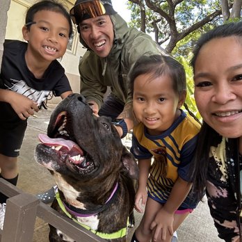 HAWAIIAN HUMANE SOCIETY - Updated November 2025 - 1073 Photos & 385 ...