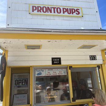 PRONTO PUPS - Updated October 2025 - 254 Photos & 209 Reviews - 313 S ...
