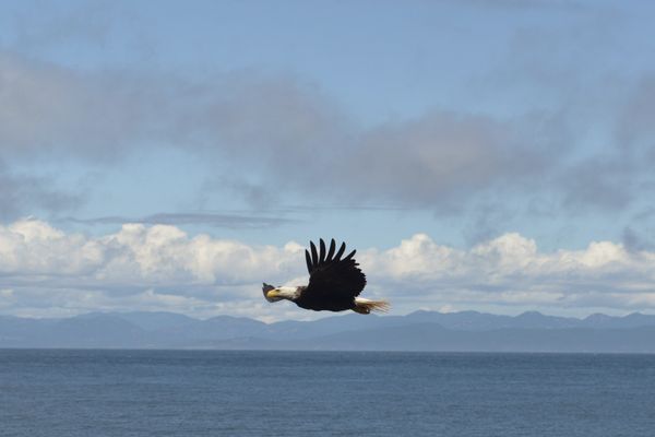 CRESCENT BEACH & RV PARK with photos - Updated August 2024 - 56 Photos ...