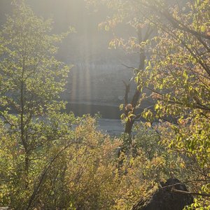 CATTLE CAMP CAMPGROUND - CA-89, McCloud, California - Campgrounds ...