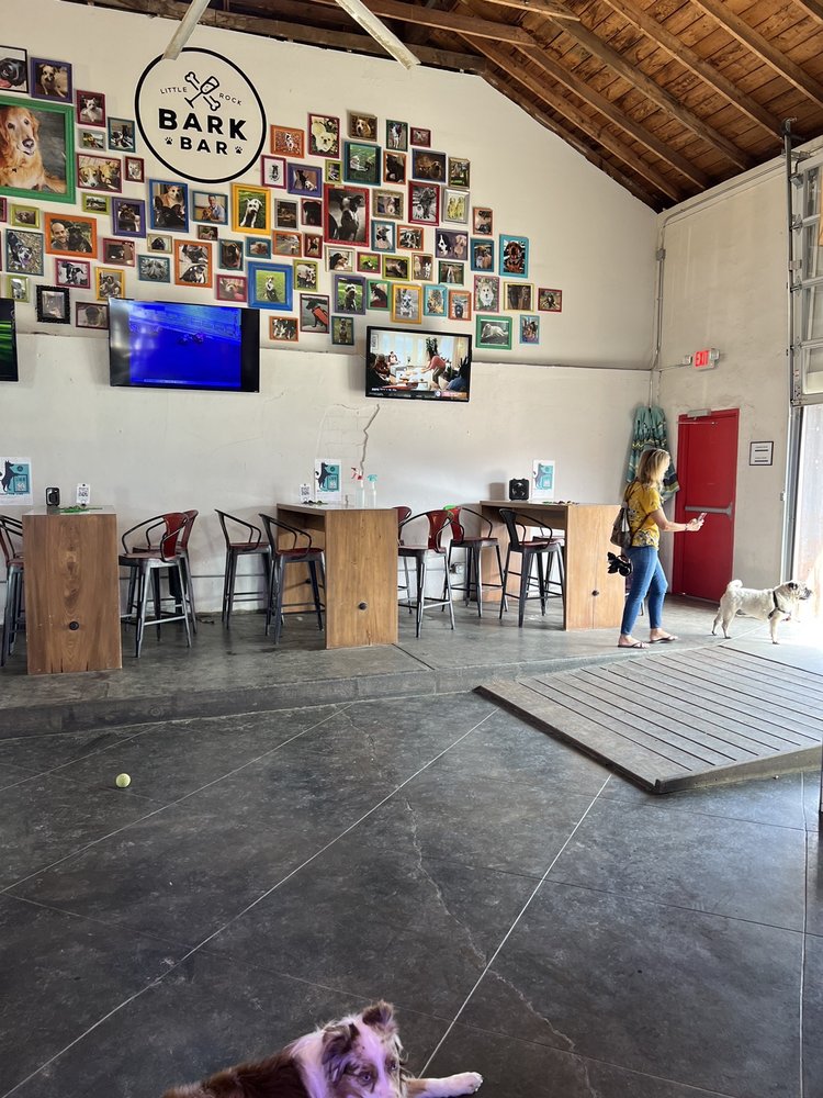 BARK BAR & GRILLE - Updated January 2026 - 106 Photos & 45 Reviews ...