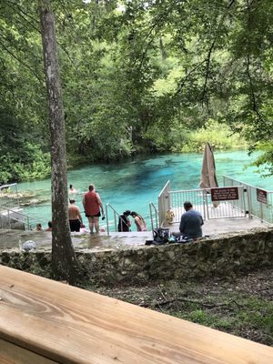 ICHETUCKNEE SPRINGS STATE PARK - Updated May 2024 - 315 Photos & 121 ...