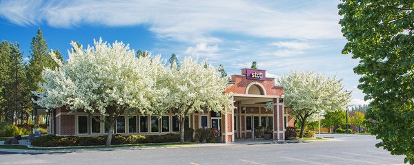 STCU - Updated August 2025 - 207 E Hastings Road, Spokane, Washington ...