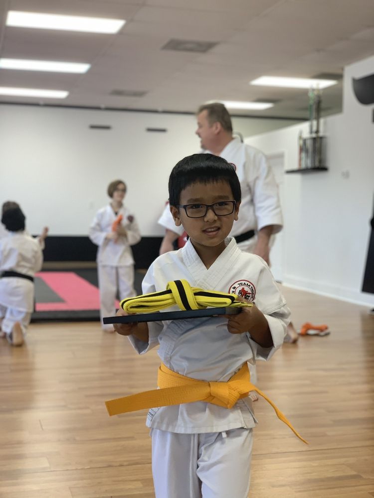 TEAM TIGER KARATE CLUB - Updated June 2024 - 6411 Camden Rd, Hope Mills ...