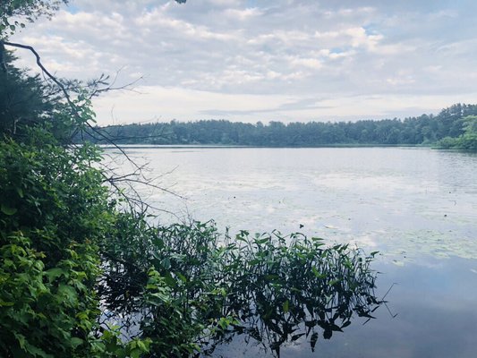 MASSASOIT STATE PARK - Updated May 2024 - 32 Photos & 17 Reviews ...